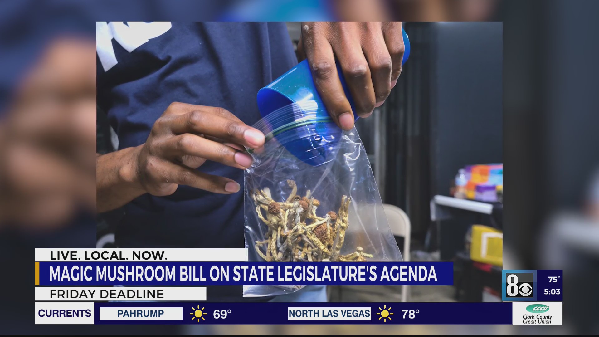 Magic mushrooms up for vote as deadline approaches – KLAS