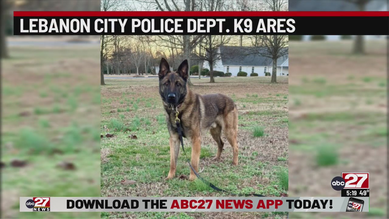 Lebanon City Police Department welcomes new K9 officer – ABC27