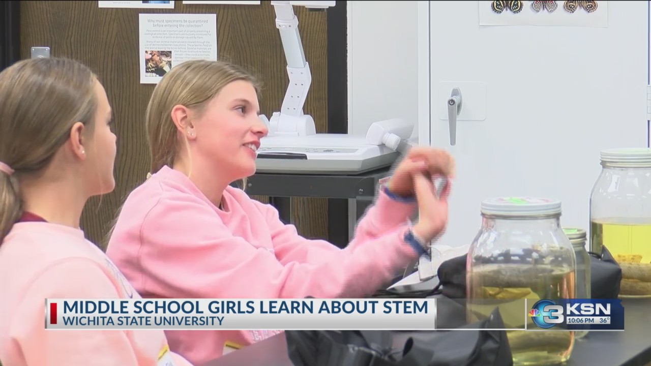 Middle school girls expand horizons in STEM at WSU – KSN-TV