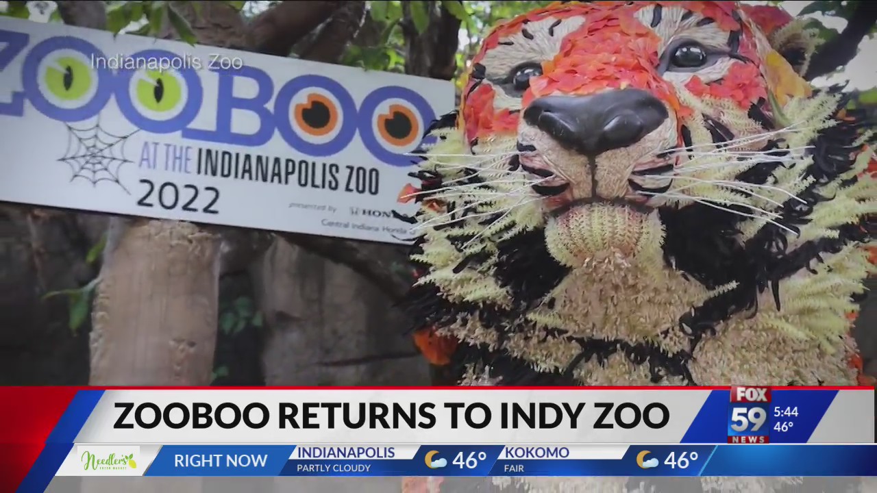 Zoo Boo returns to Indy Zoo – Fox 59