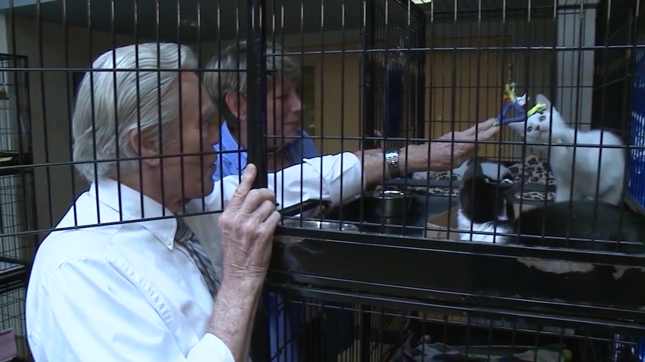 Dick Goddard Animal Protective League Telethon – Fox 8 Cleveland WJW