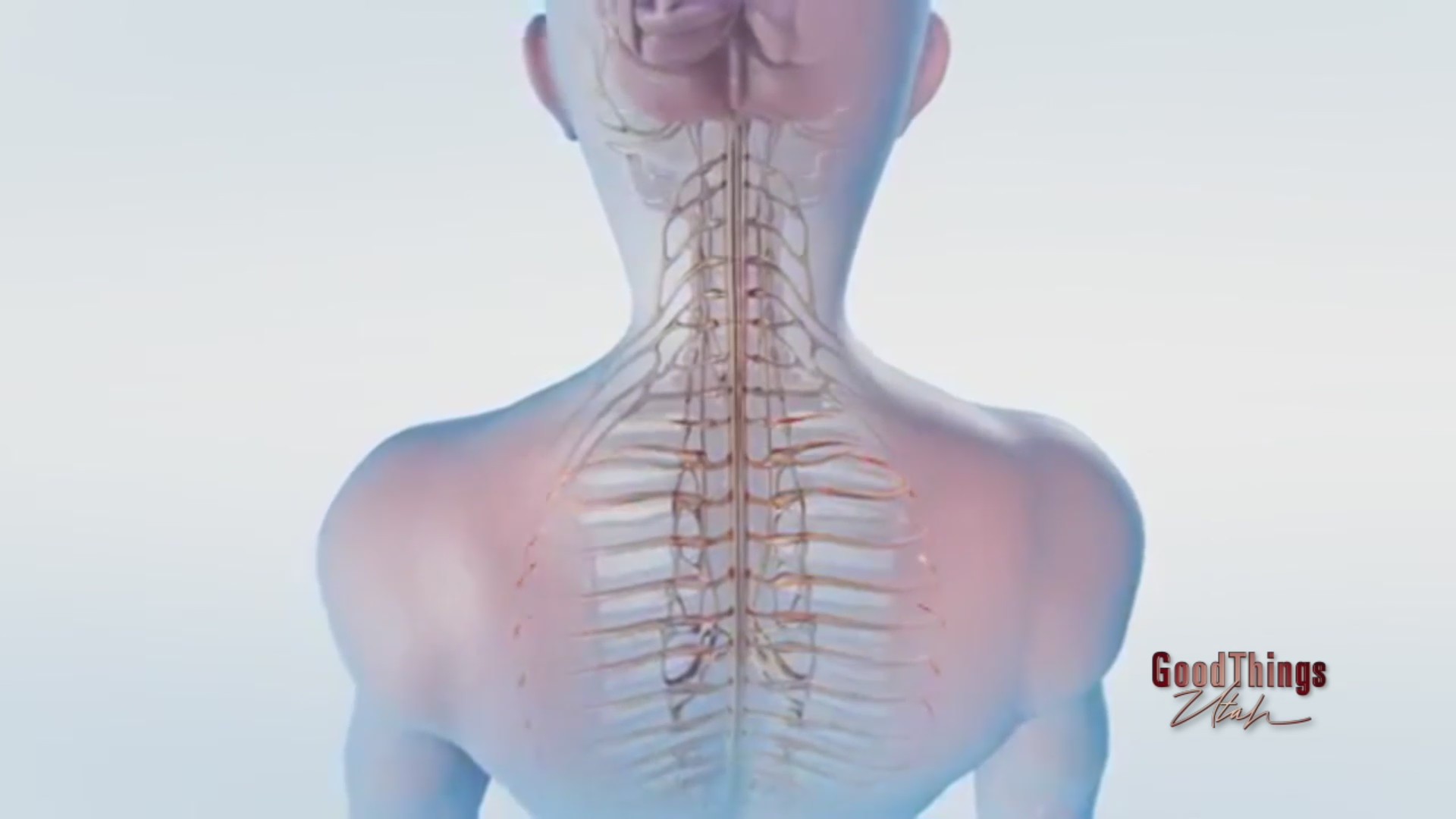 March is Multiple Sclerosis Awareness Month: Diagnosis of MS is Three ...
