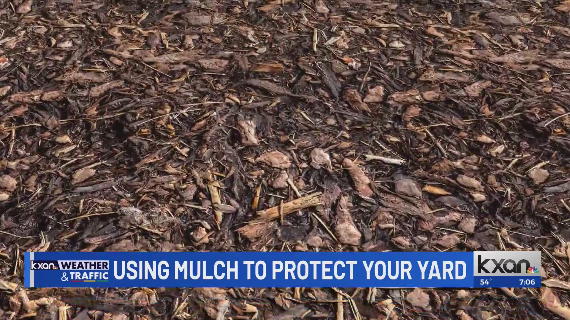 How to protect your yard using mulch – KXAN Austin