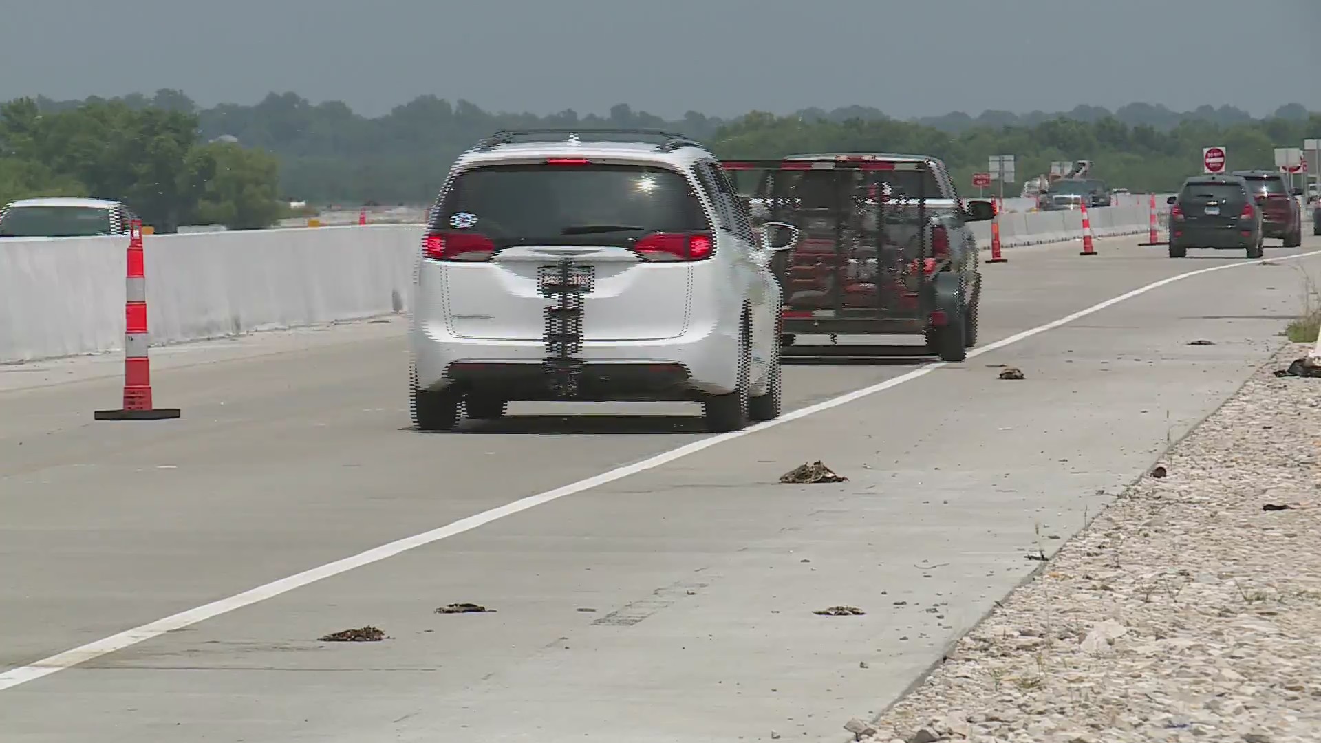 Warning: Drivers beware of turtles crossing on highways – FOX 2