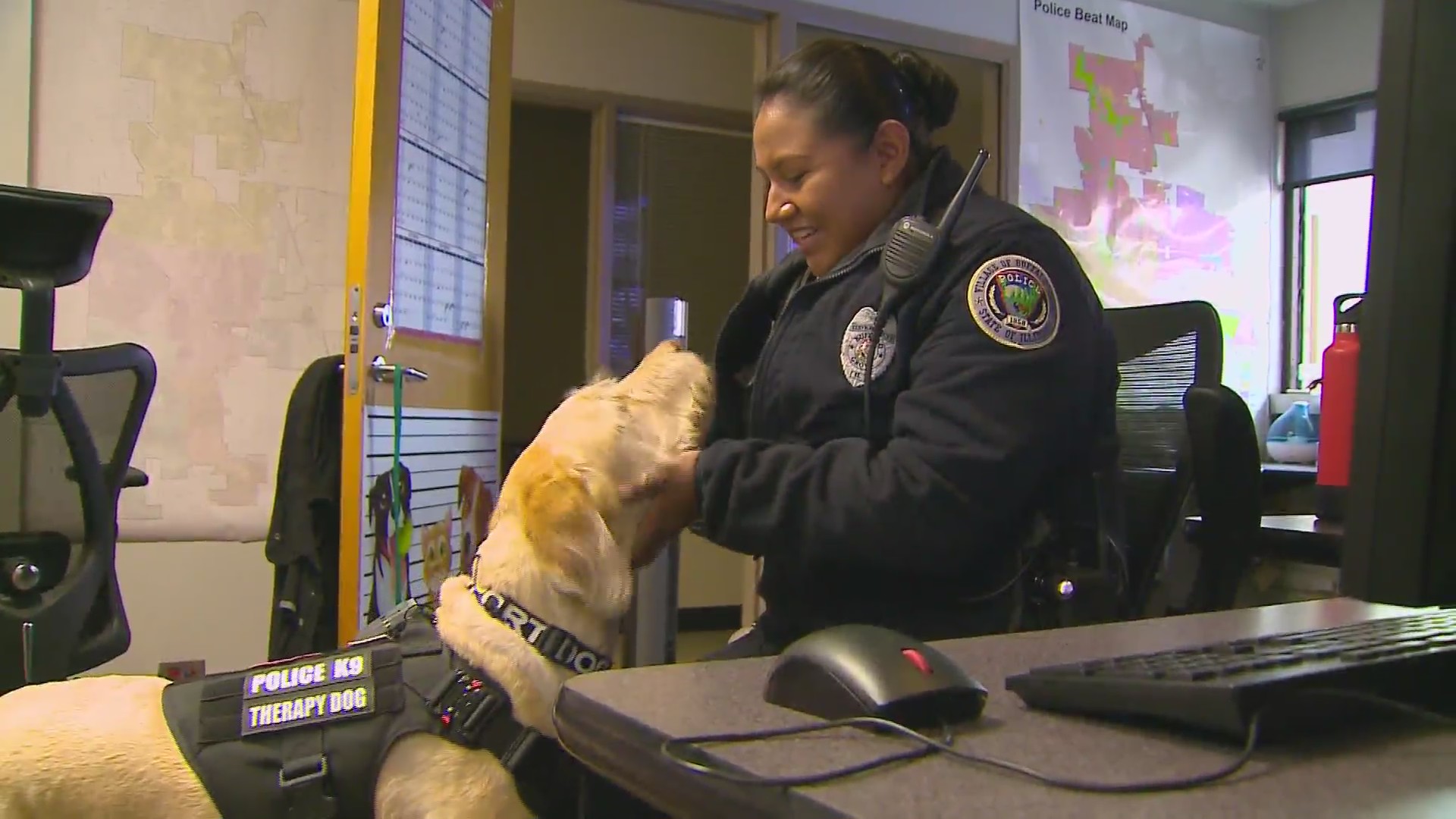 Suburban PD’s first therapy dog warming hearts wherever he’s needed ...