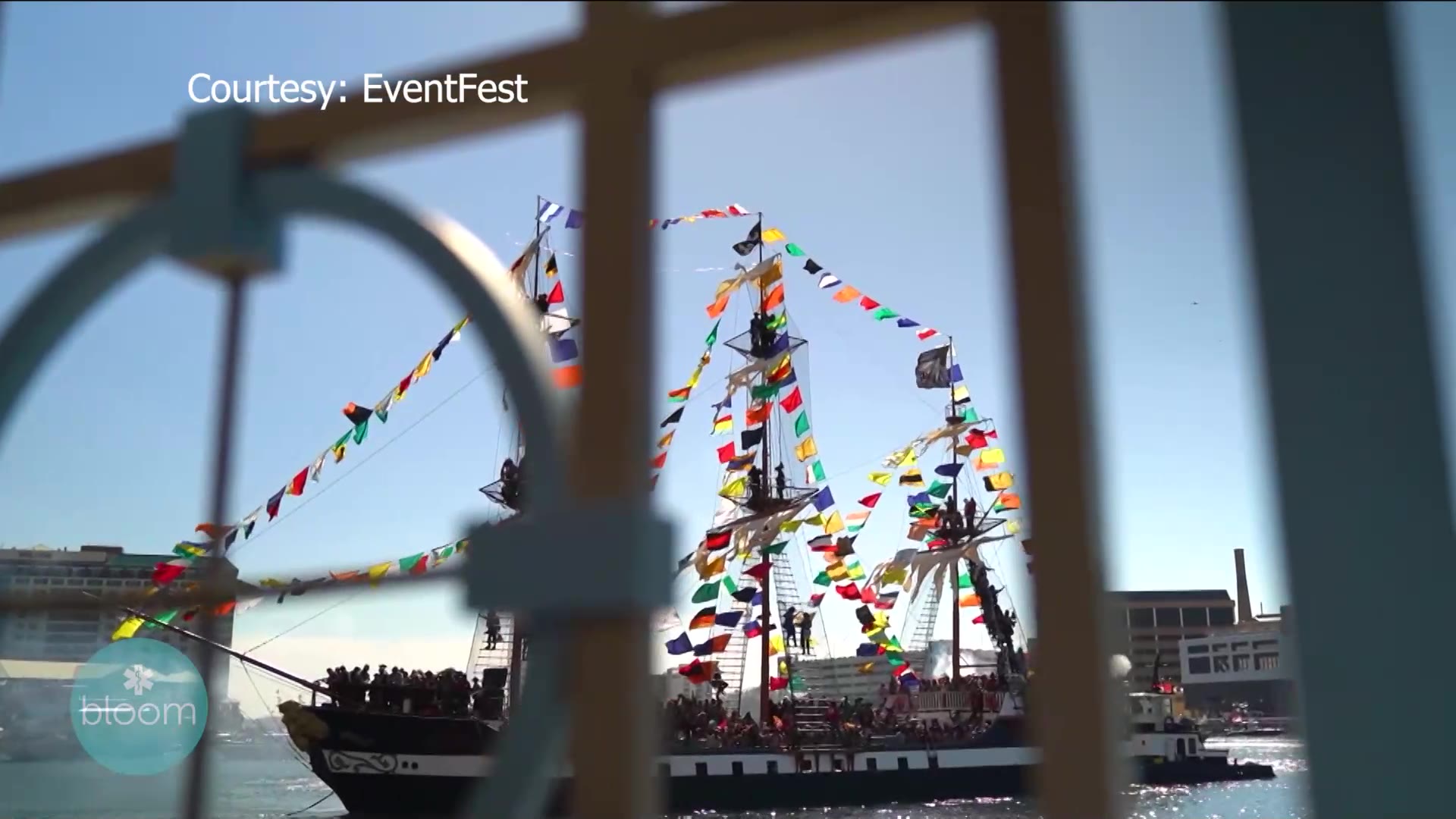 Window to the Weekend: Gasparilla Parade – WFLA