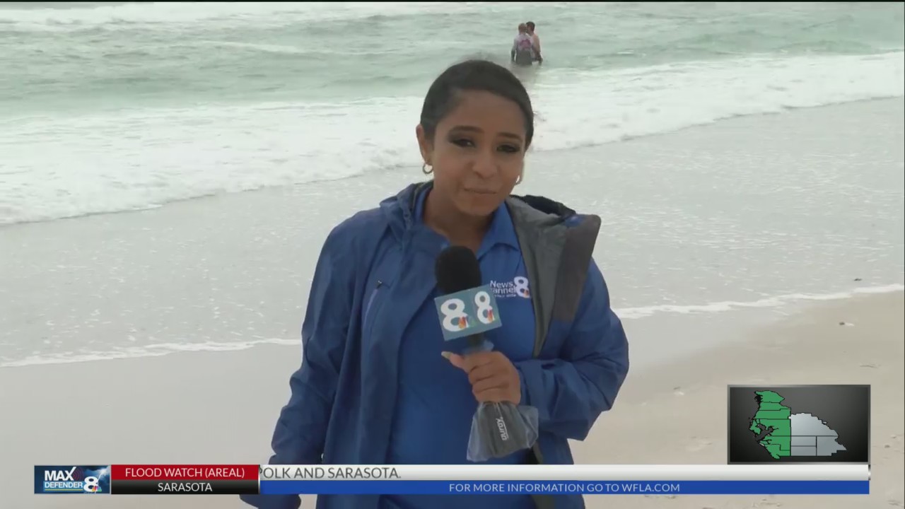 Idalia Manatee – WFLA