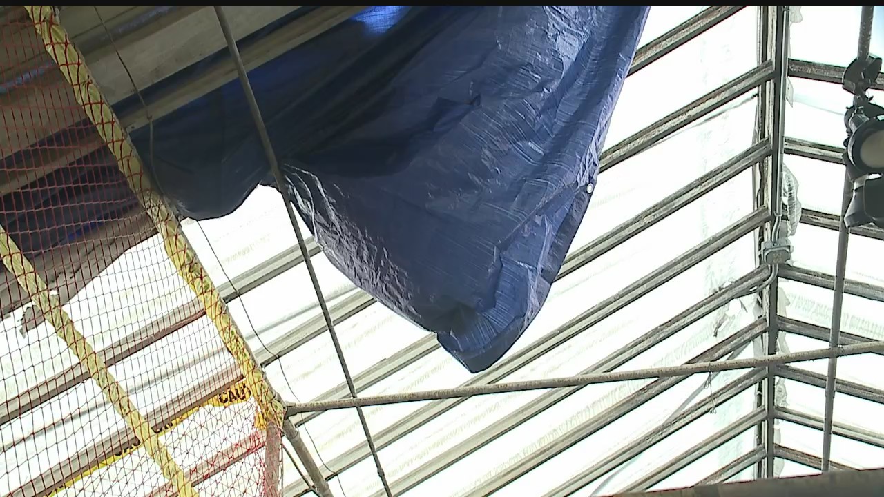 Community helps fix animal shelter roof damaged by storm – WKBN.com