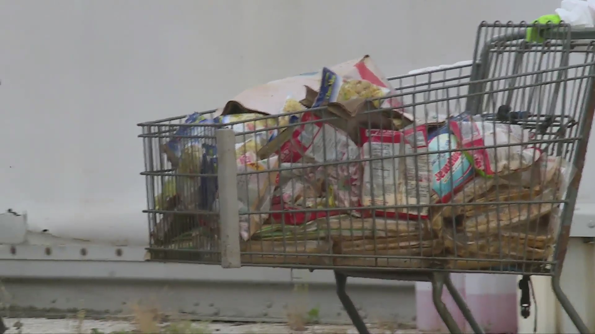 Thousands of pounds of rotten seafood removed from condemned Seafood ...