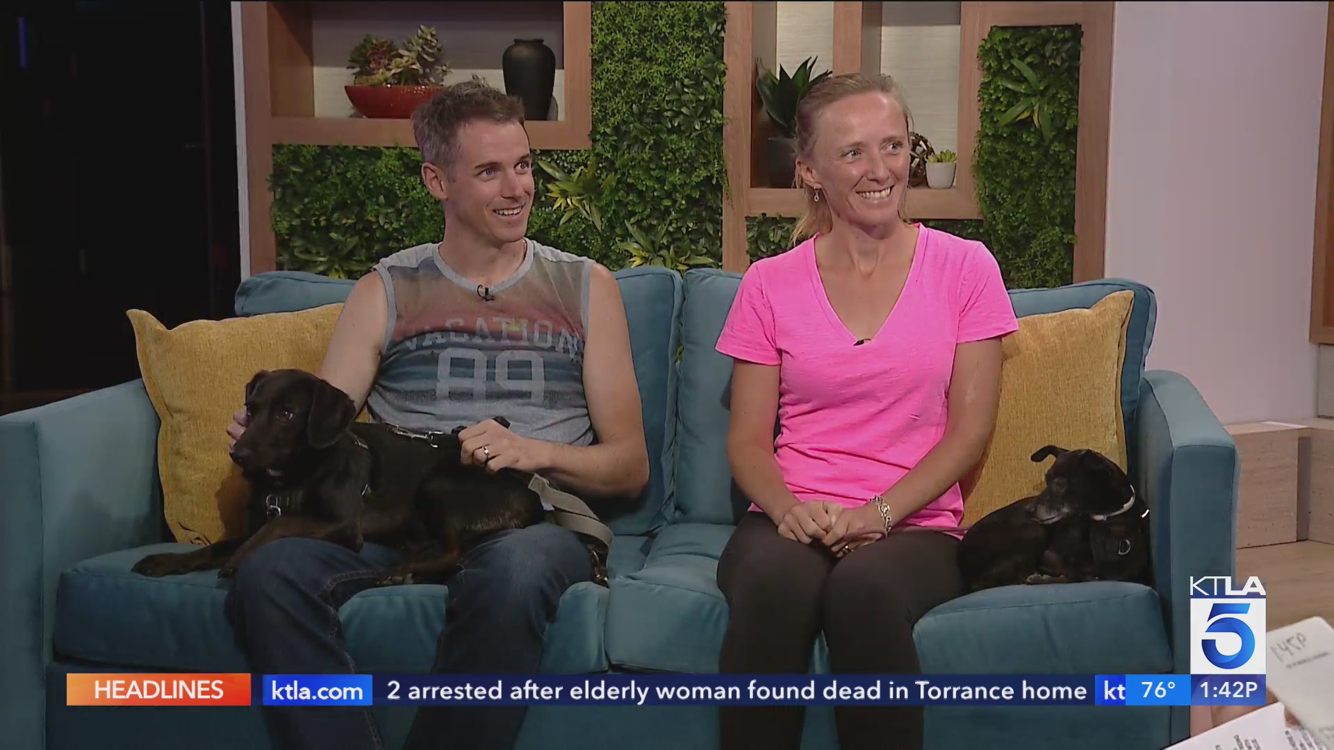 Couple travels around the world with rescue dogs – KTLA
