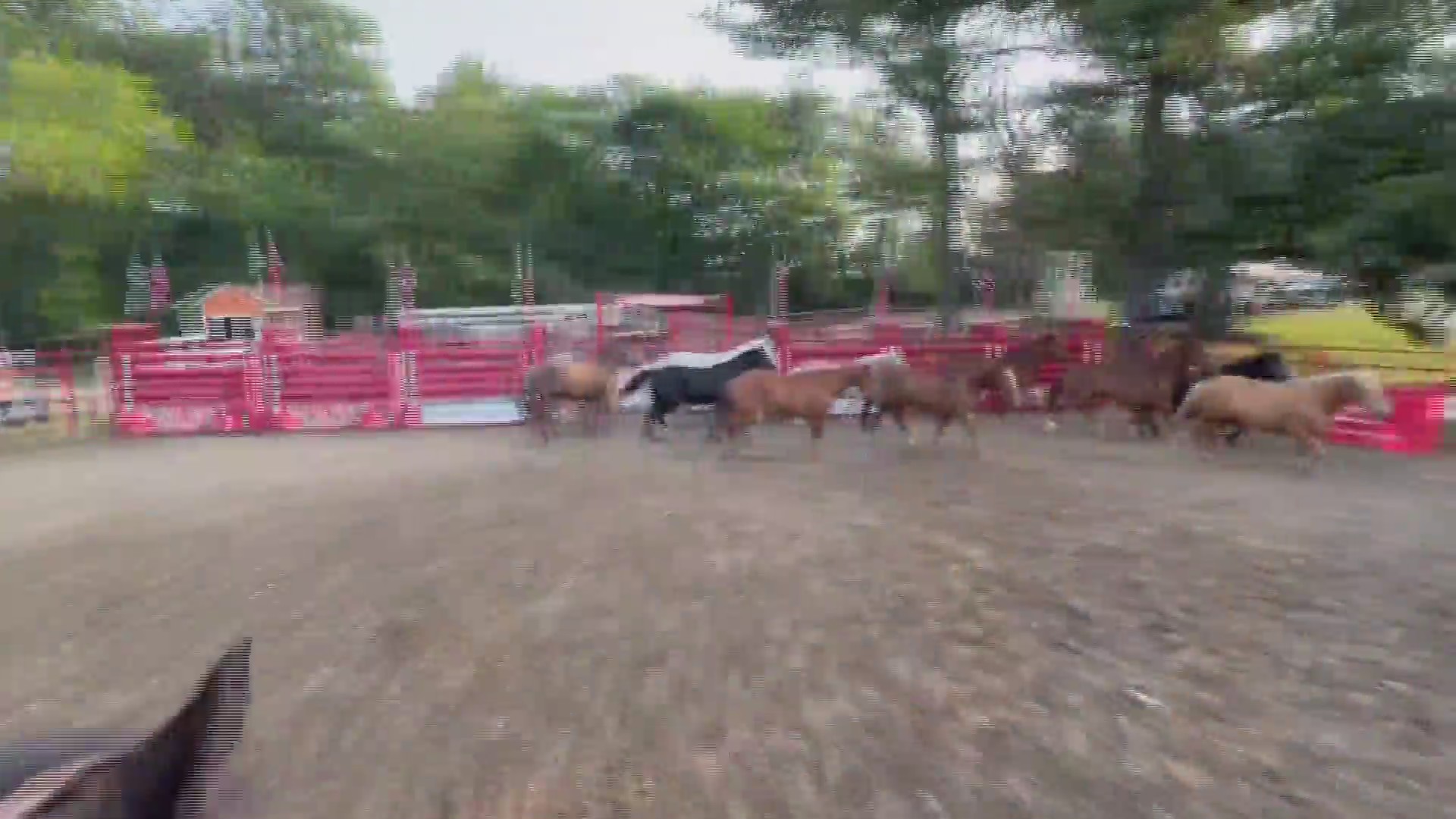 Weekend Break: Sonny Acres farm pro rodeo and bull riding – WGN-TV