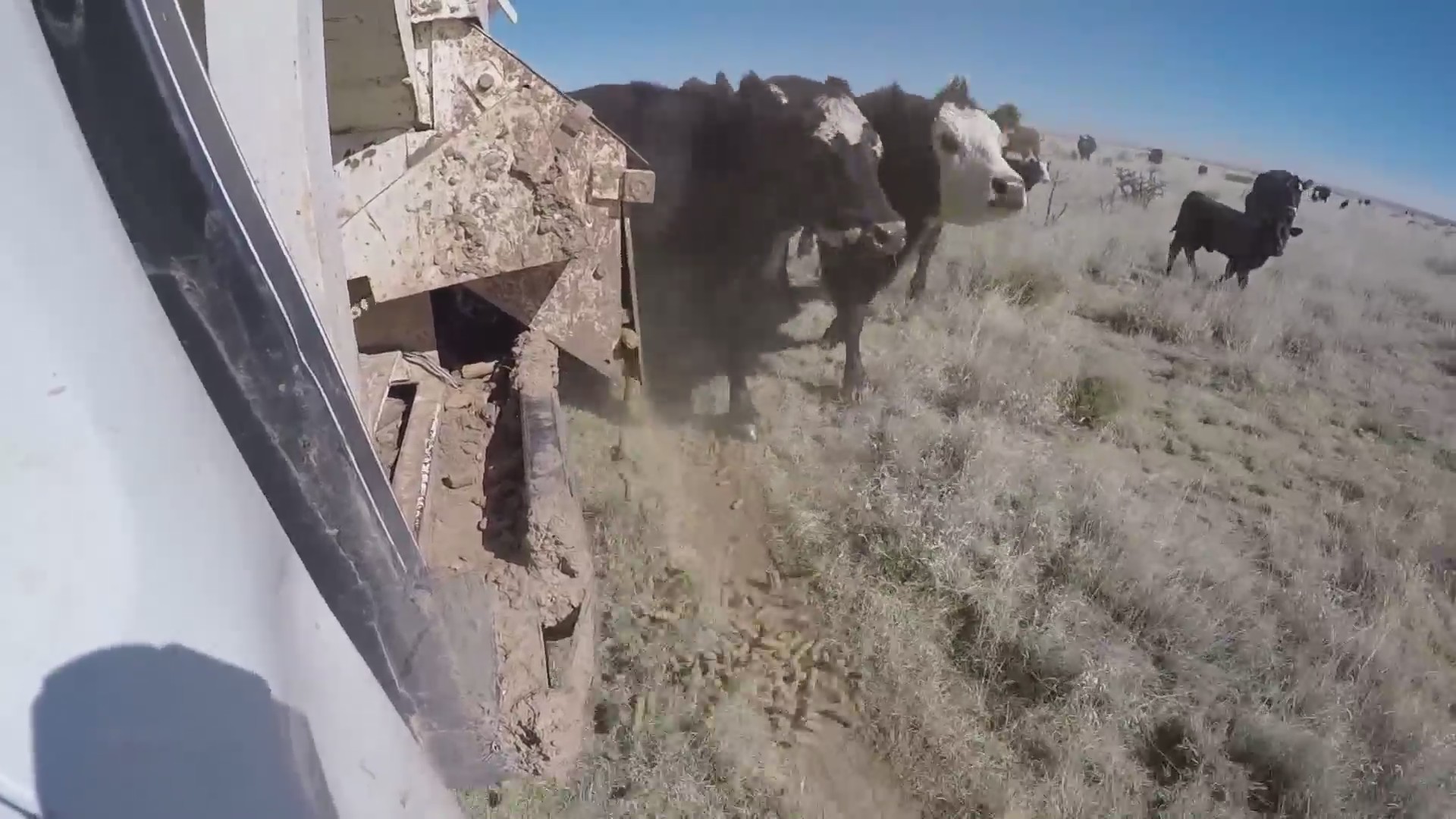 Inflation, drought contributing to beef prices this holiday season ...