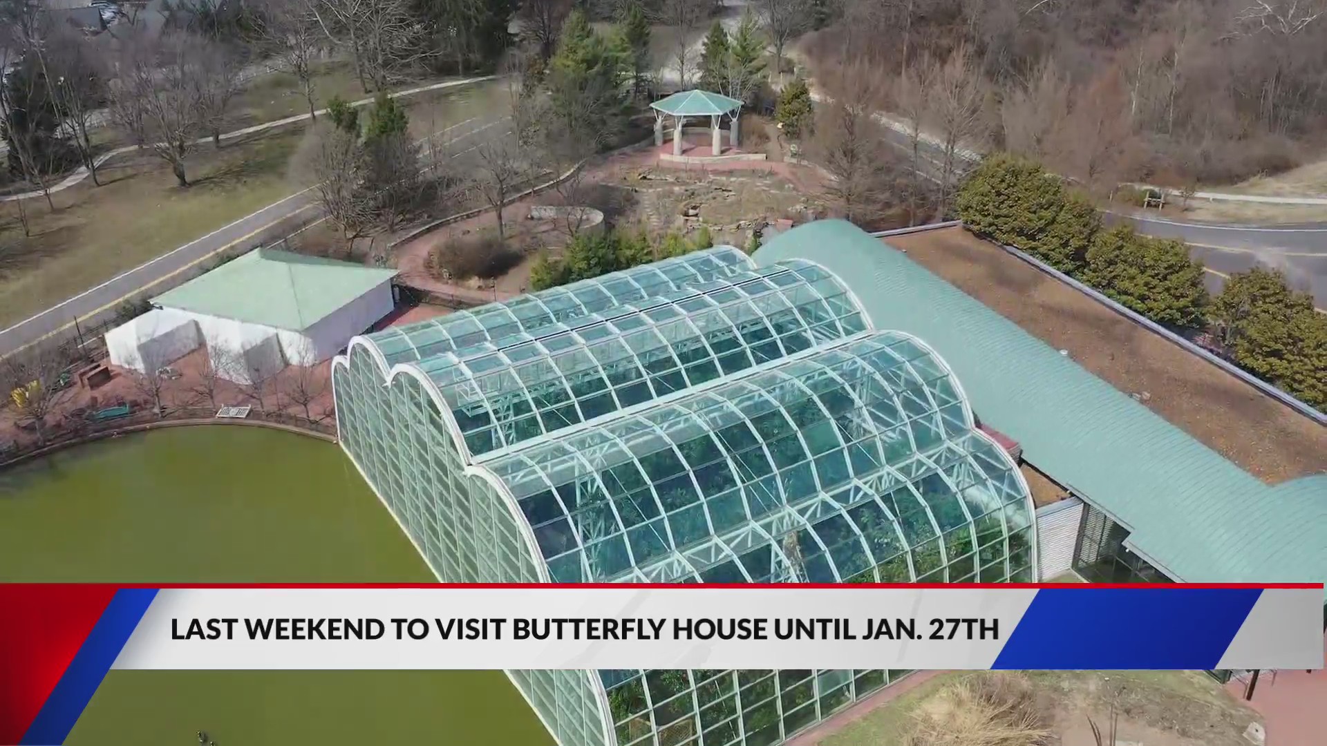 Last weekend to visit butterfly house until Jan 27th – FOX 2