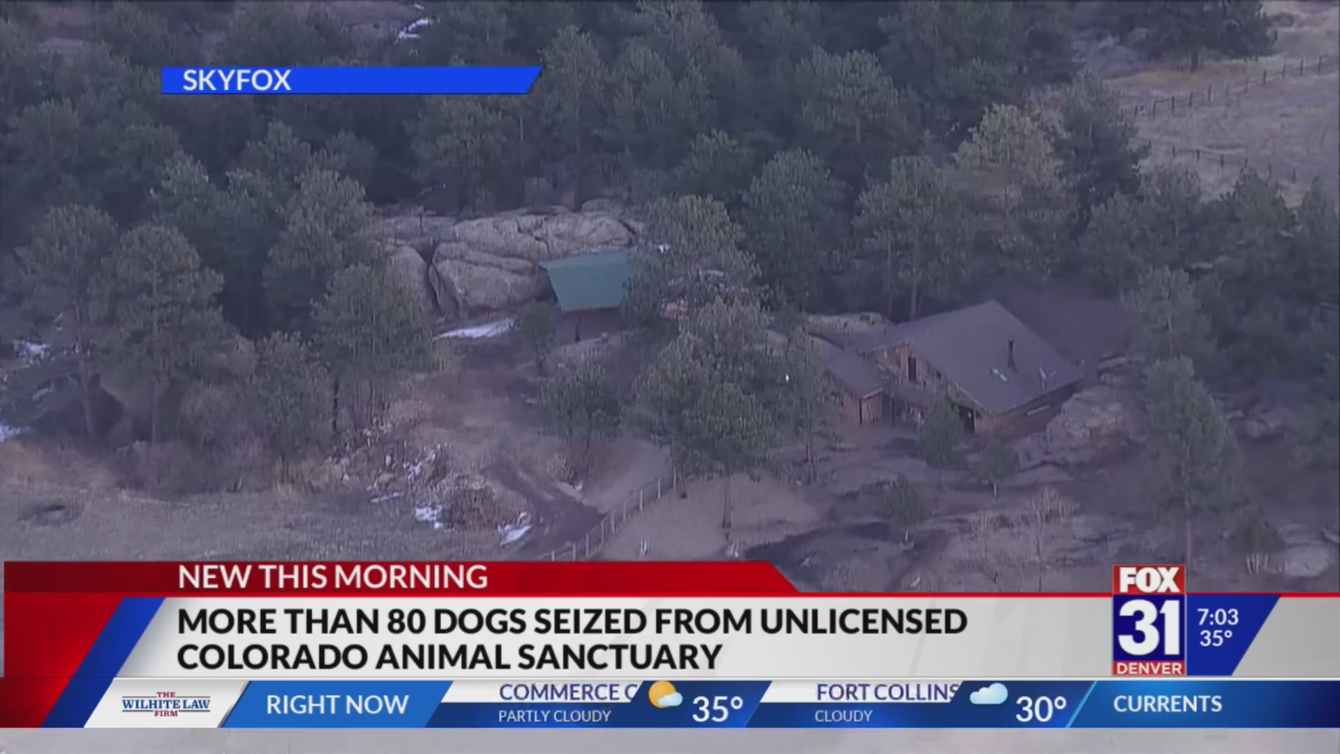 Nearly 80 dogs seized from unlicensed Colorado animal sanctuary – FOX31 ...