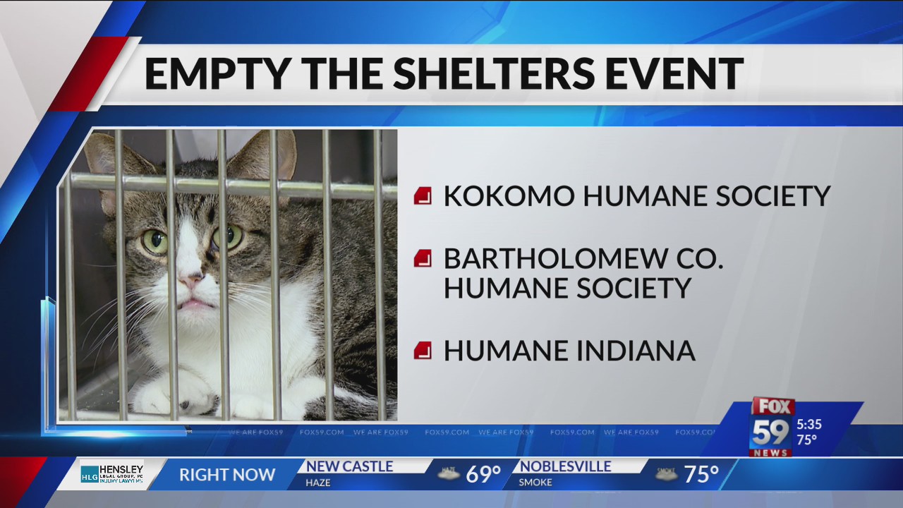 Indiana animal shelters to offer pet adoptions for $50 or less in July ...