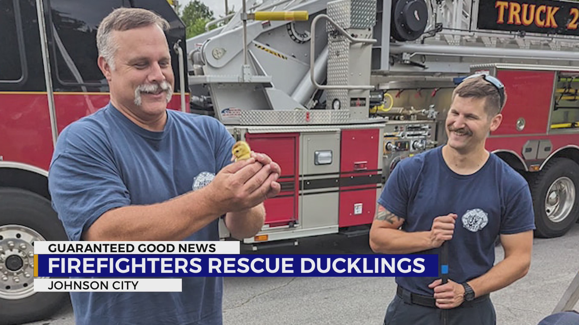 Johnson City firefighters rescue ducklings from storm drain – WJHL ...