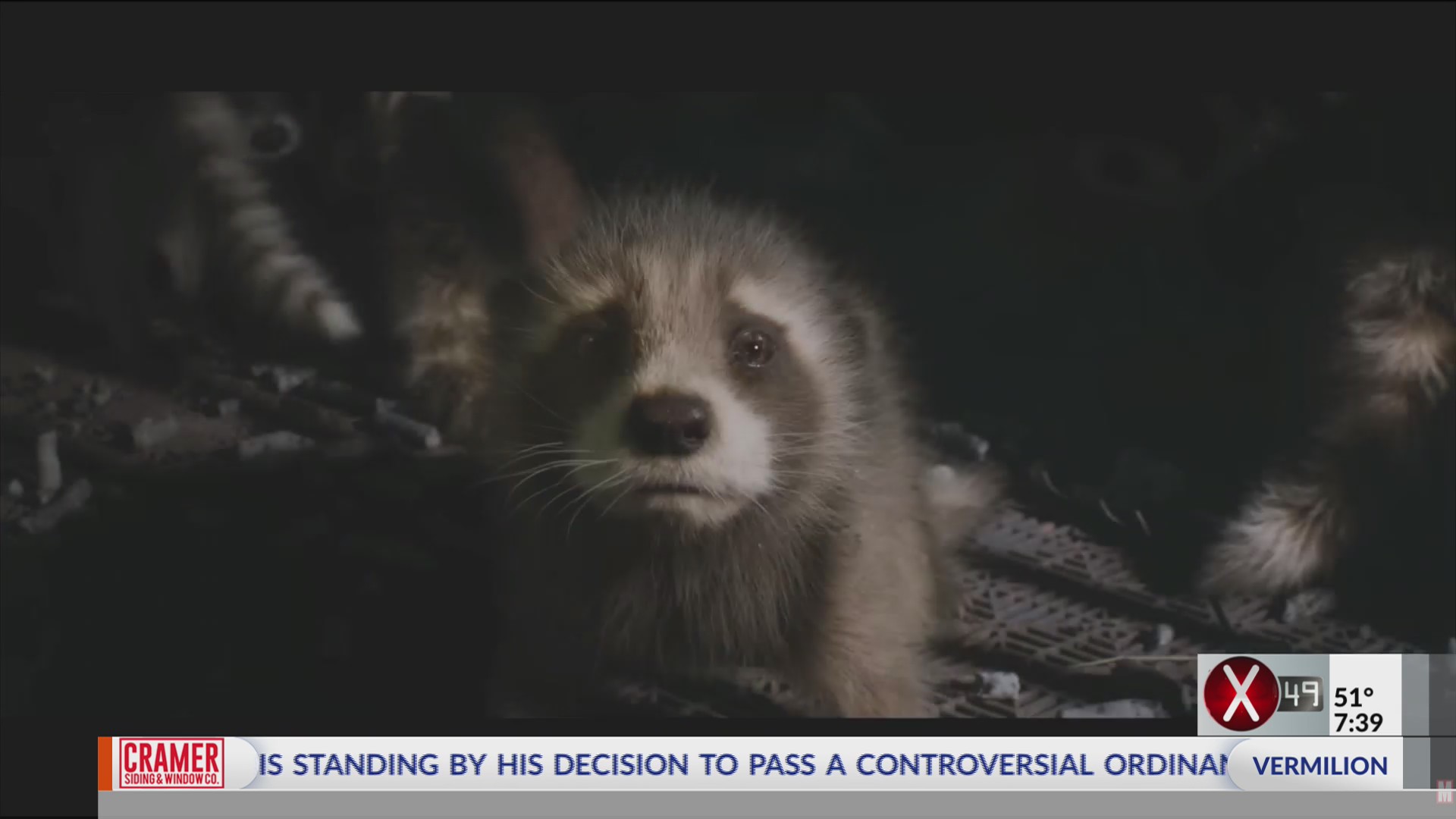 Friday Flicks: Guardians of the galaxy and What’s love got to do with ...