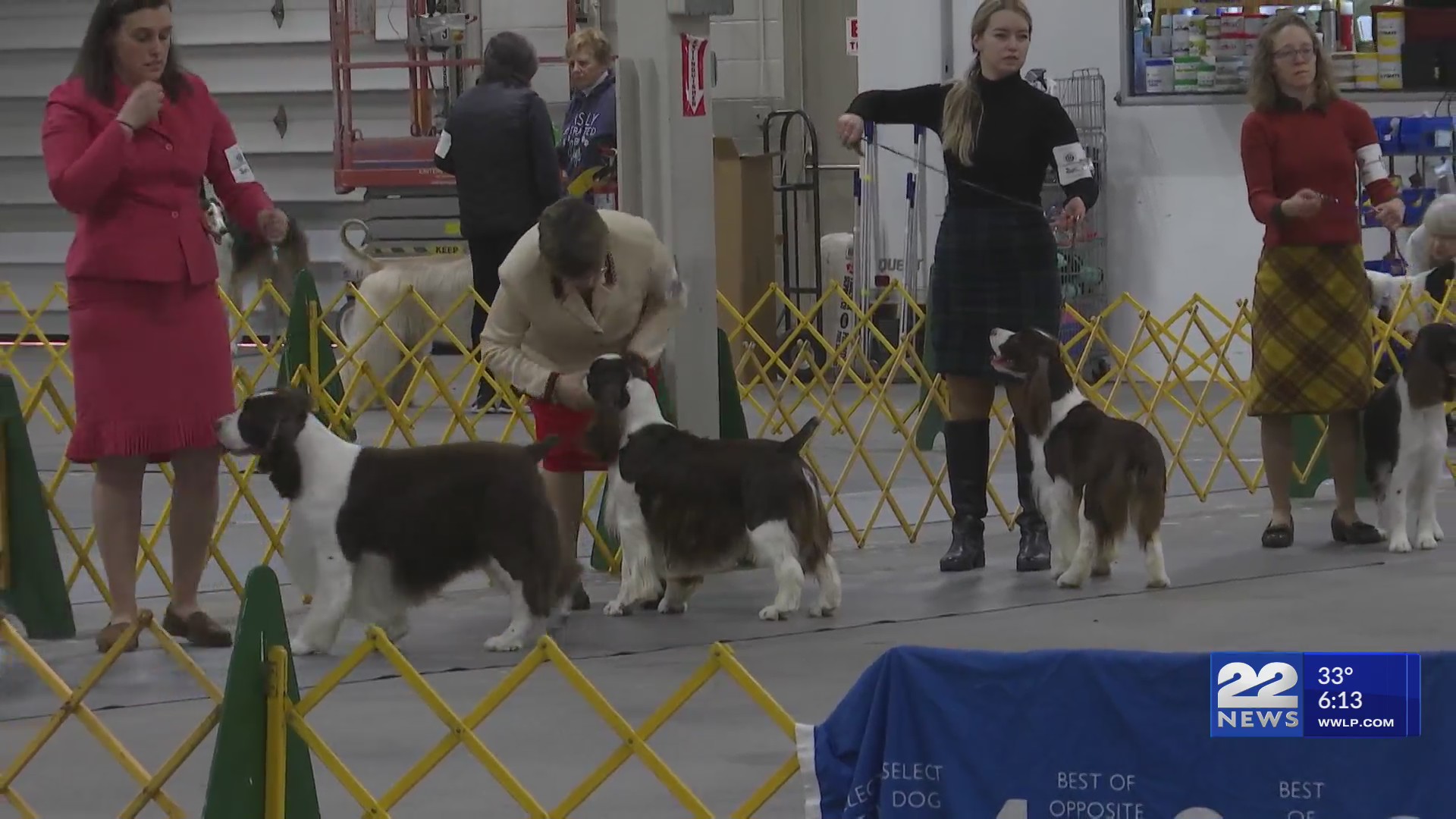 Merrimack Kennel Club hosted a dog show at the Eastern States ...