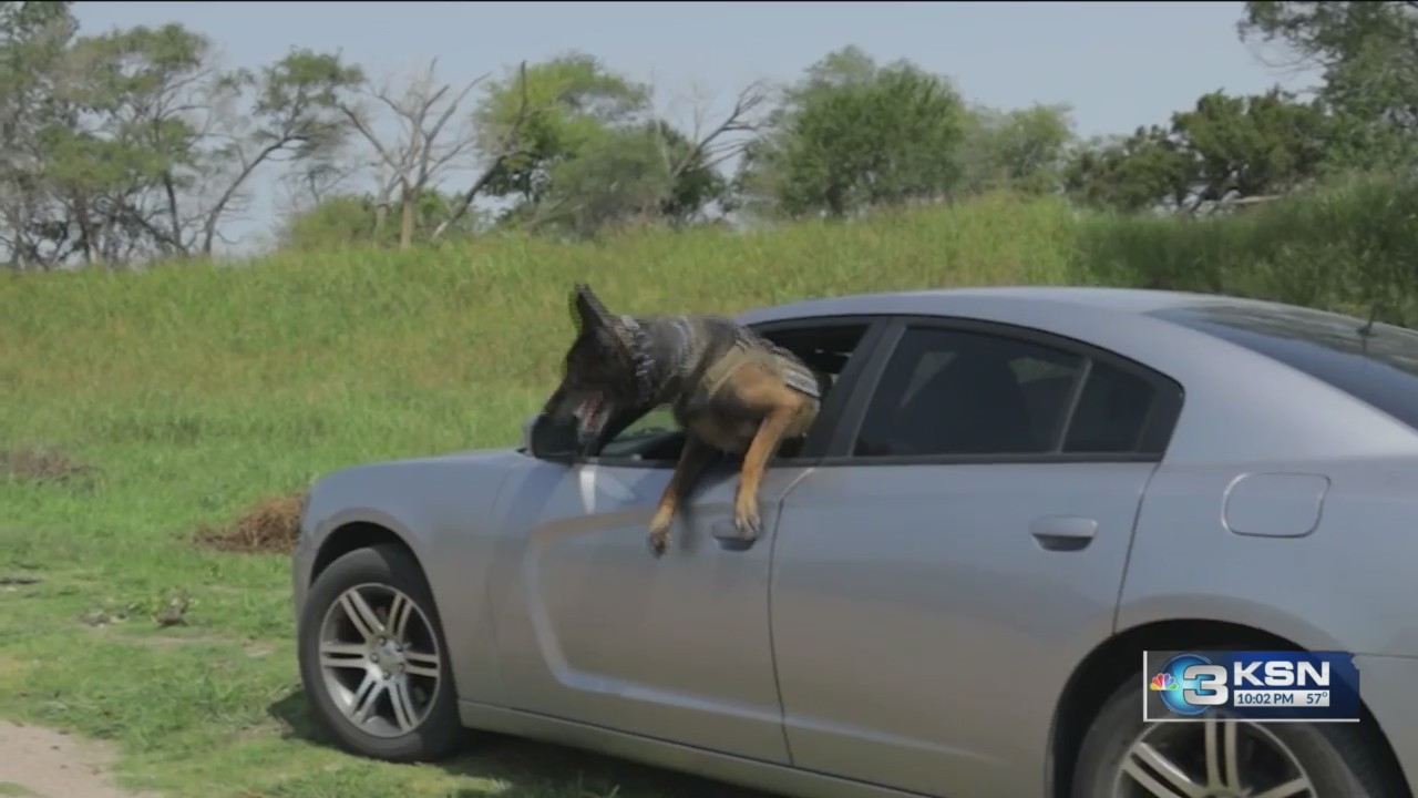 Remembering Sedgwick County K9 Bane, EOW, Nov. 16, 2023 – KSN-TV