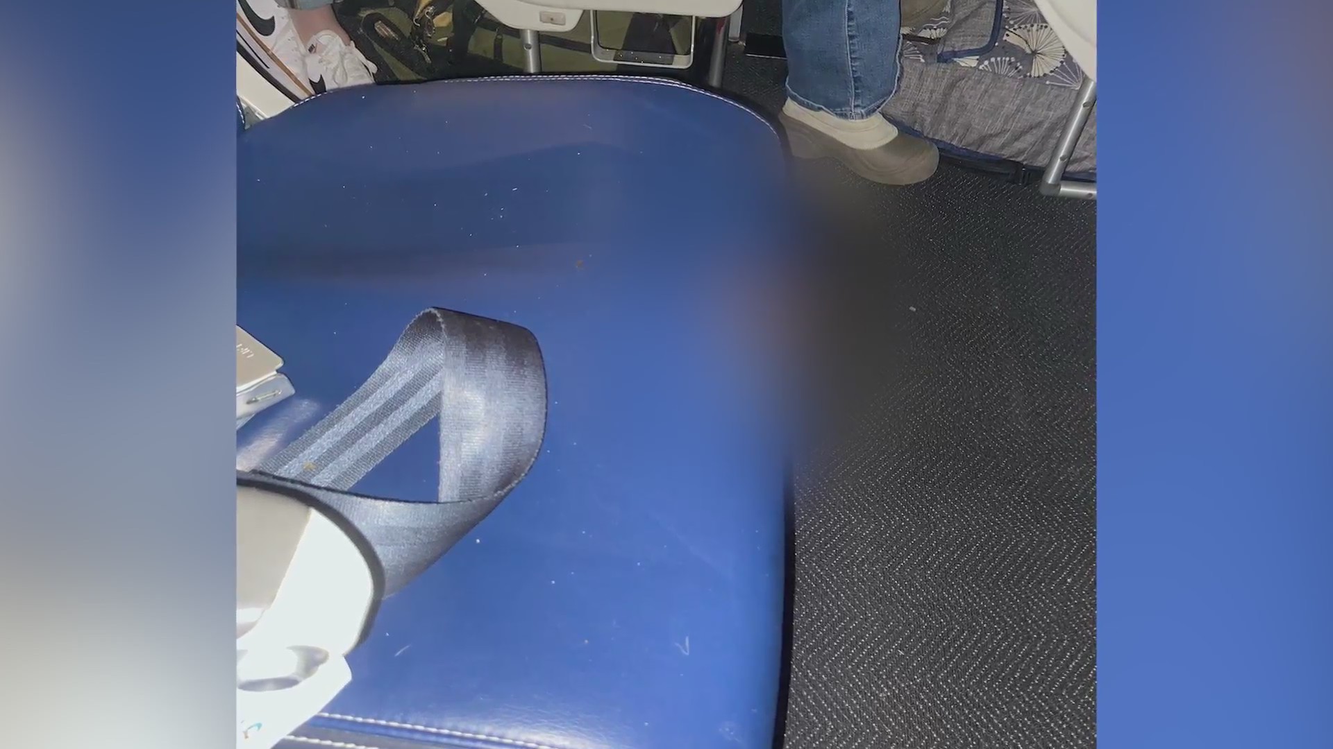 ‘Accidents happen’: United passengers detail moments after dog poops ...