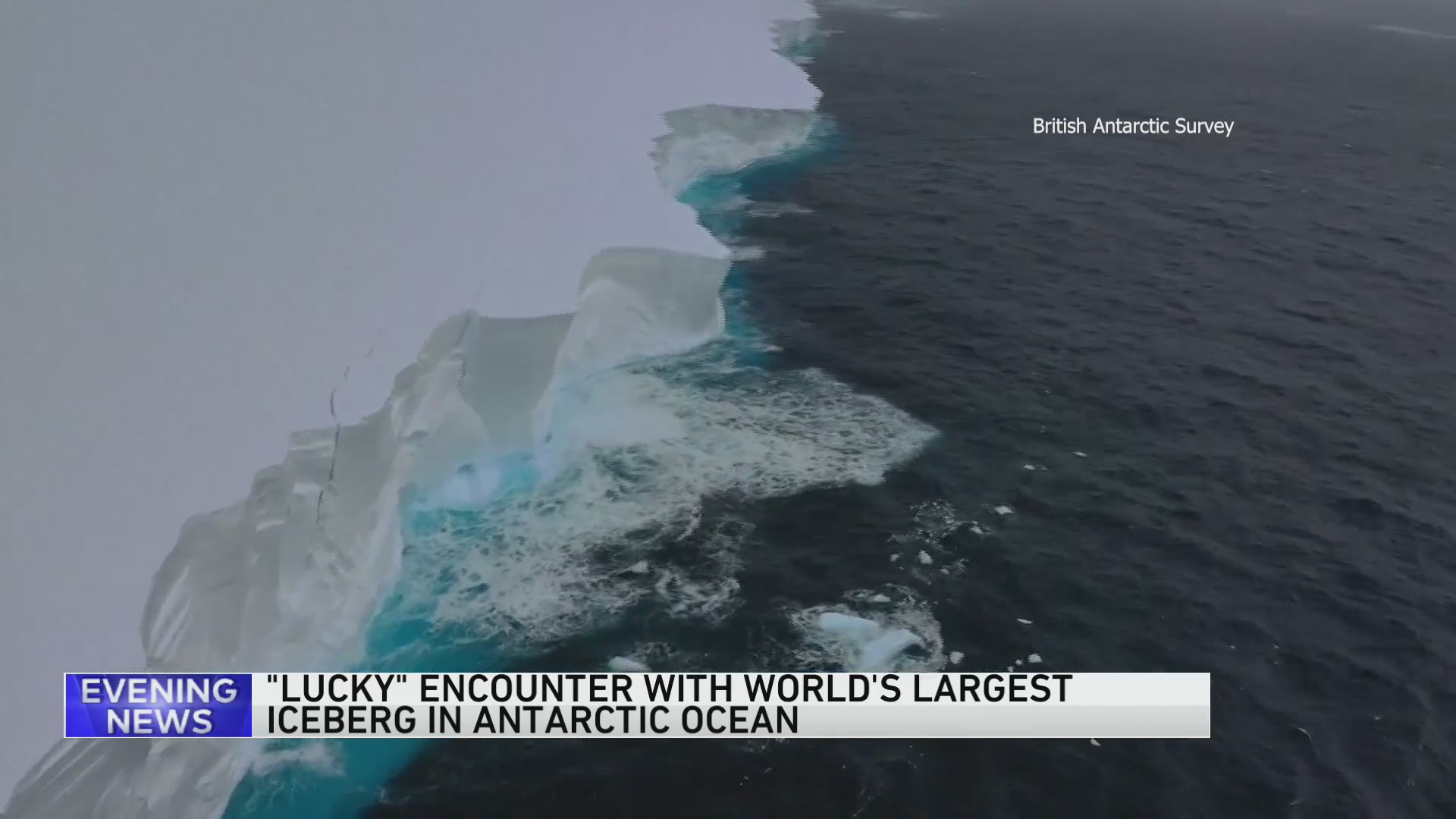 Ship crosses paths with world’s largest iceberg as it drifts out of ...