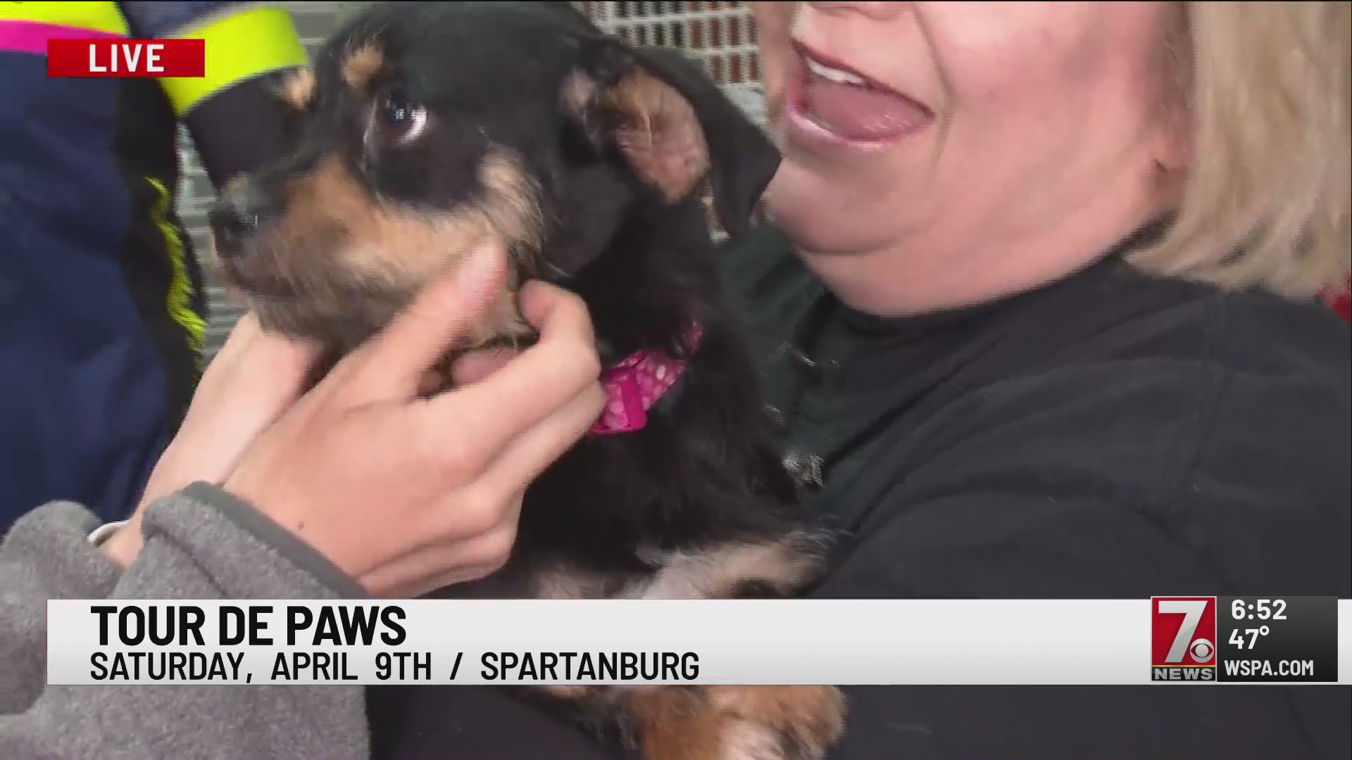 Spartanburg Humane Society to hold Tour de Paws – WSPA 7NEWS