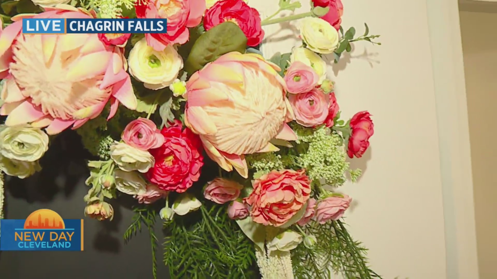 New Day Cleveland: Blossom Cleveland – Fox 8 Cleveland WJW