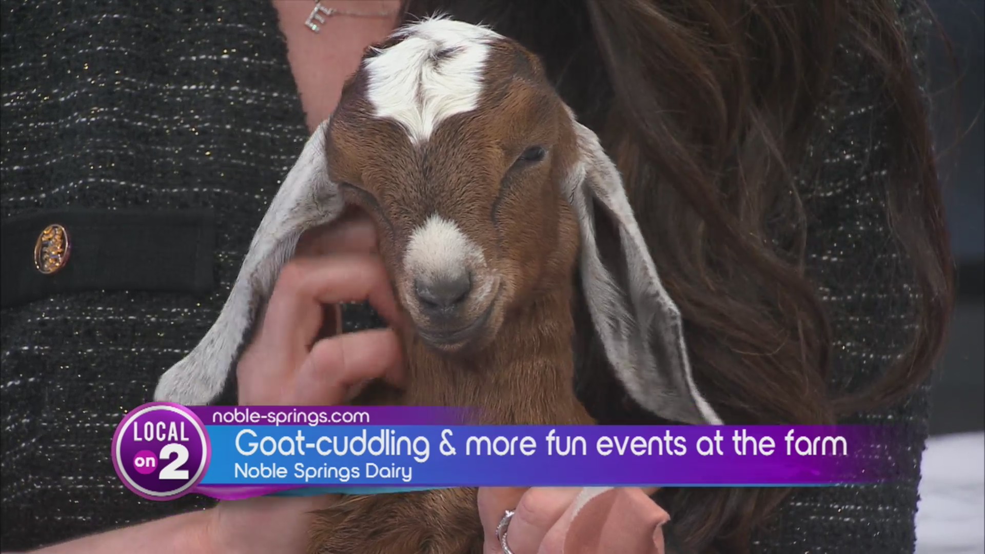 Goat Cuddling & More At Noble Springs Dairy Farm – WKRN News 2