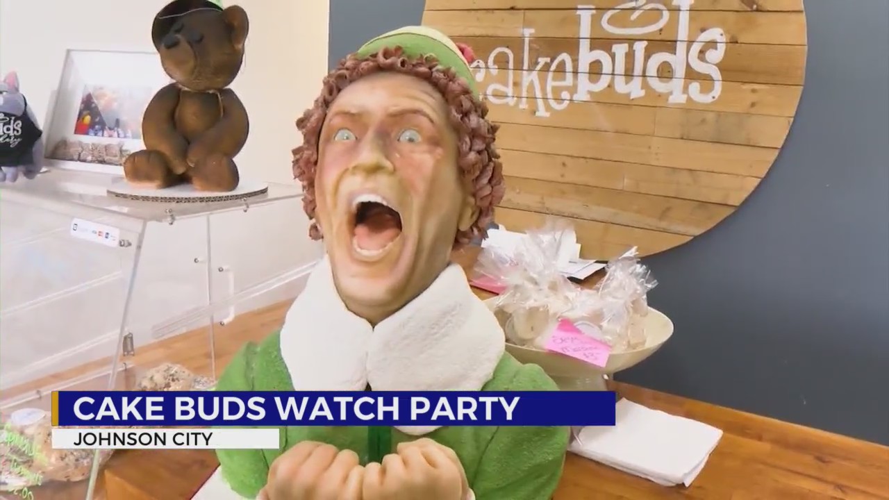Cakebuds Bakery hosts ‘Is It Cake?’ watch party to celebrate recent ...