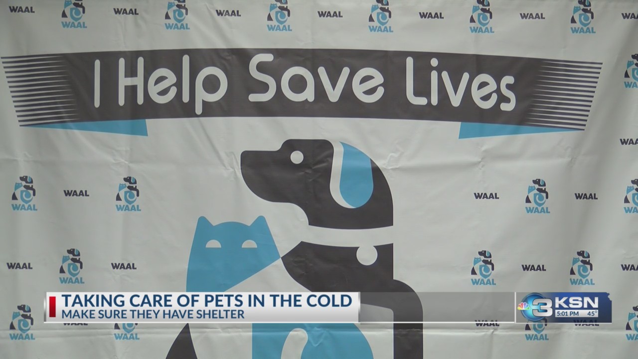 Tips on taking care of pets in the cold – KSN-TV