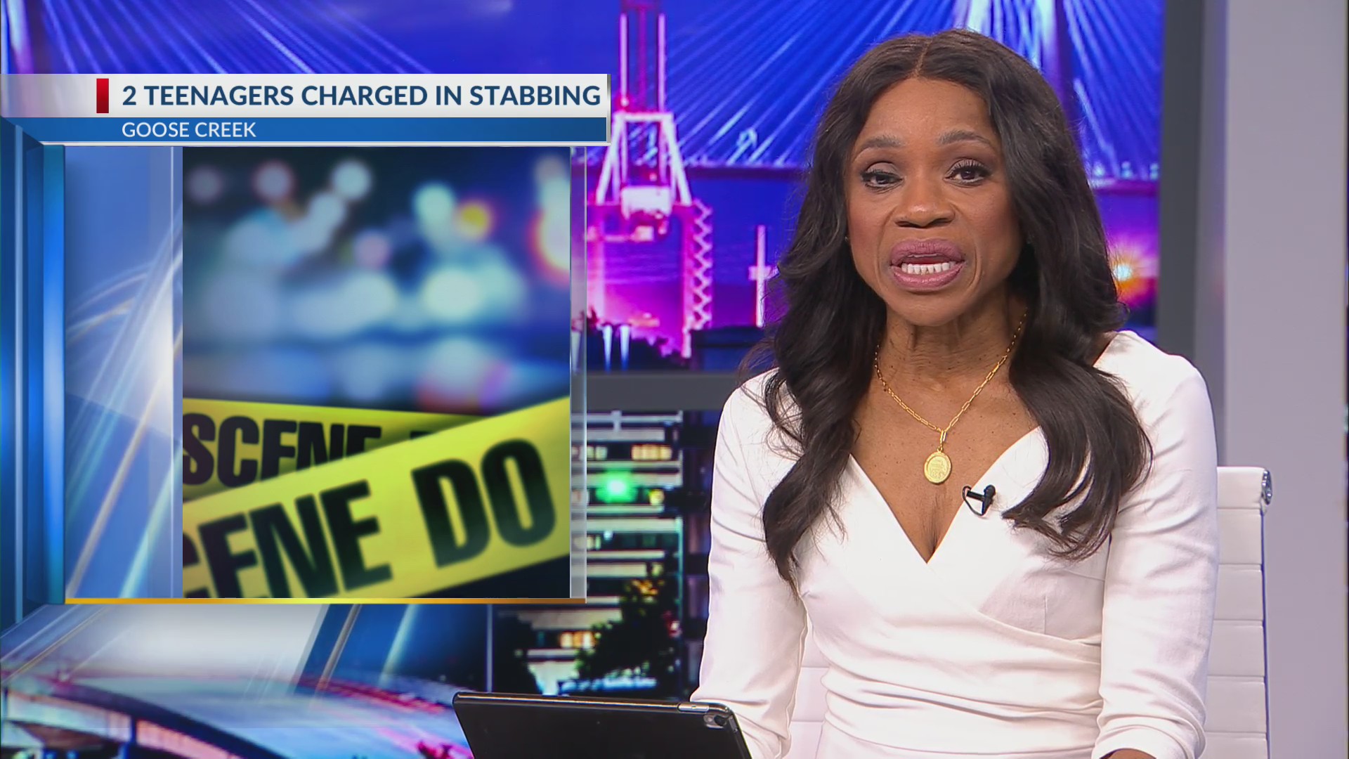 Adult, 2 juveniles facing charges in Goose Creek stabbing – WCBD News 2