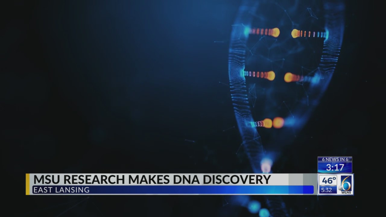 MSU Research Make DNA Discovery – WLNS 6 News
