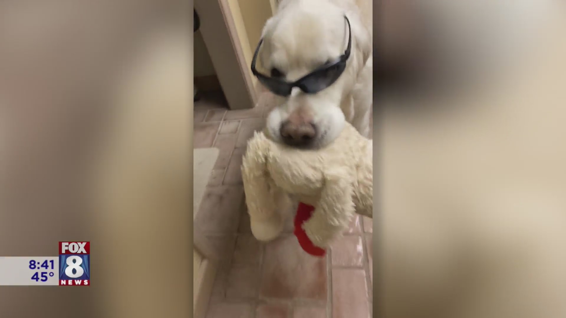 How a local group helped Stefani Schaefer say goodbye to beloved family ...