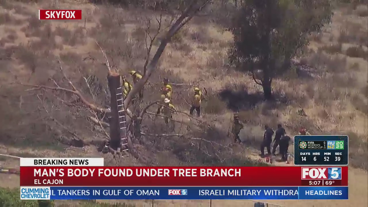 Man’s Body Found Under Tree Branch – FOX 5 San Diego & KUSI News