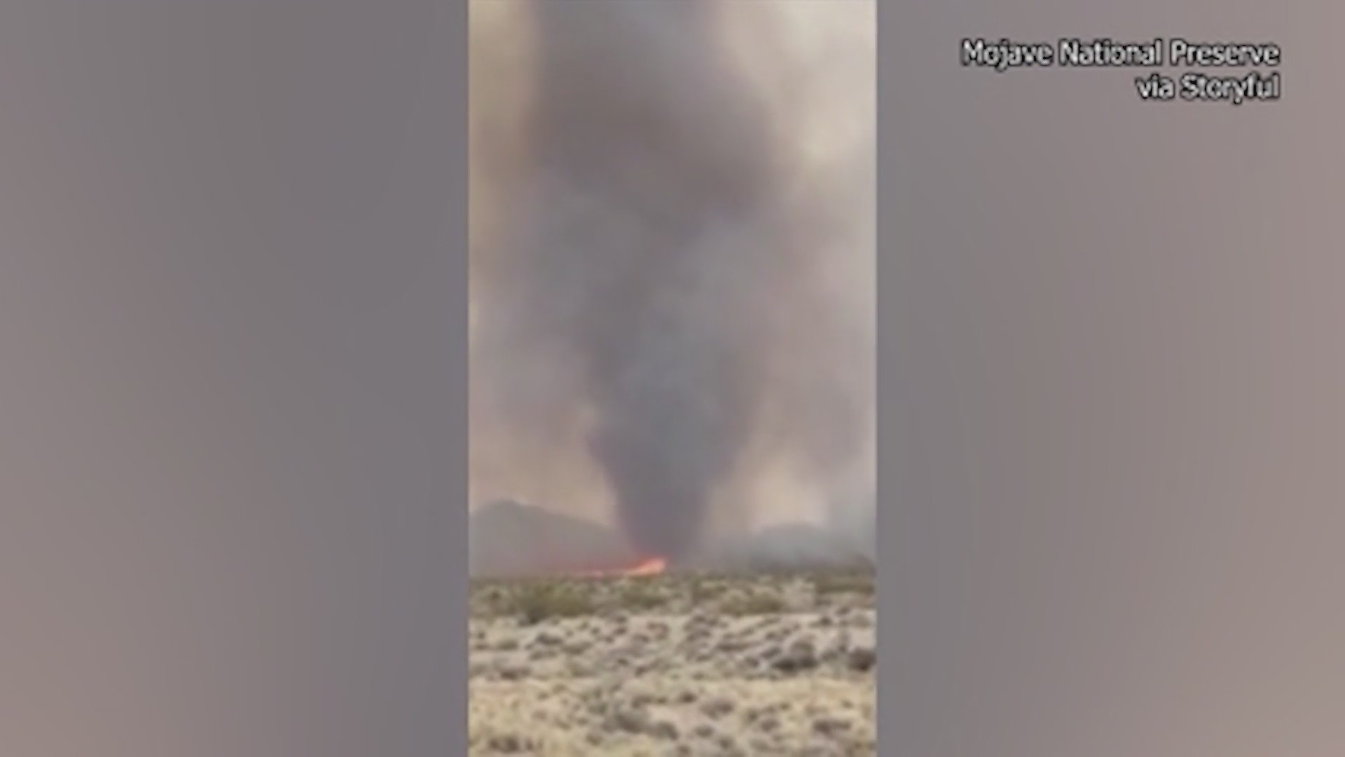 Live VIPIR 6 Forecast Thursday, August 3, 2023 – WJBF