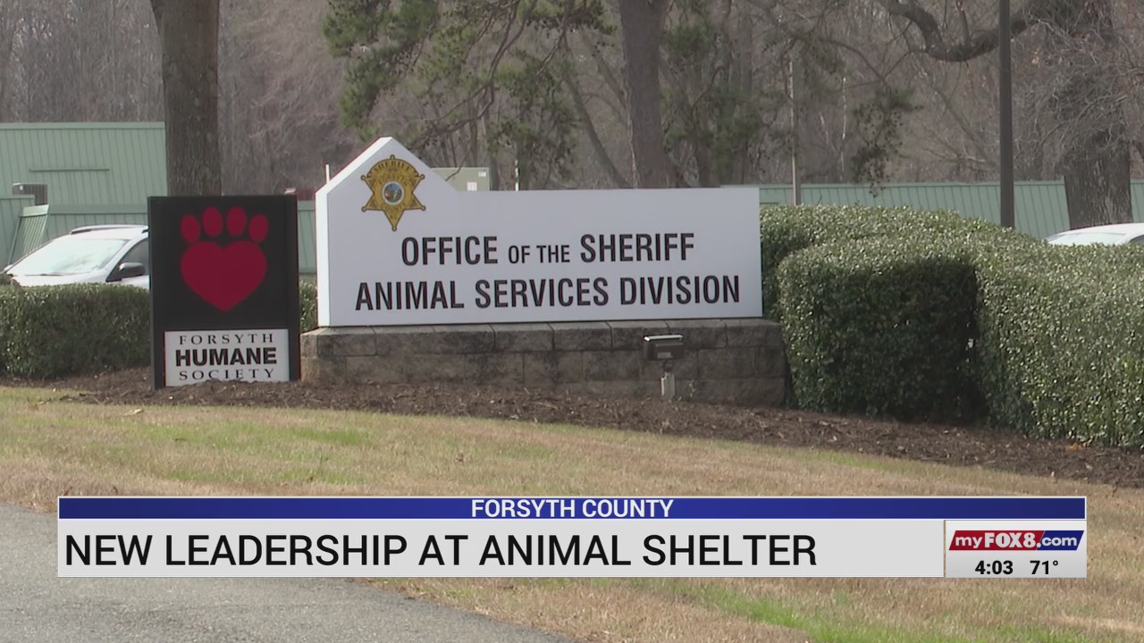 New leadership in place at Forsyth County animal shelter – FOX8 WGHP