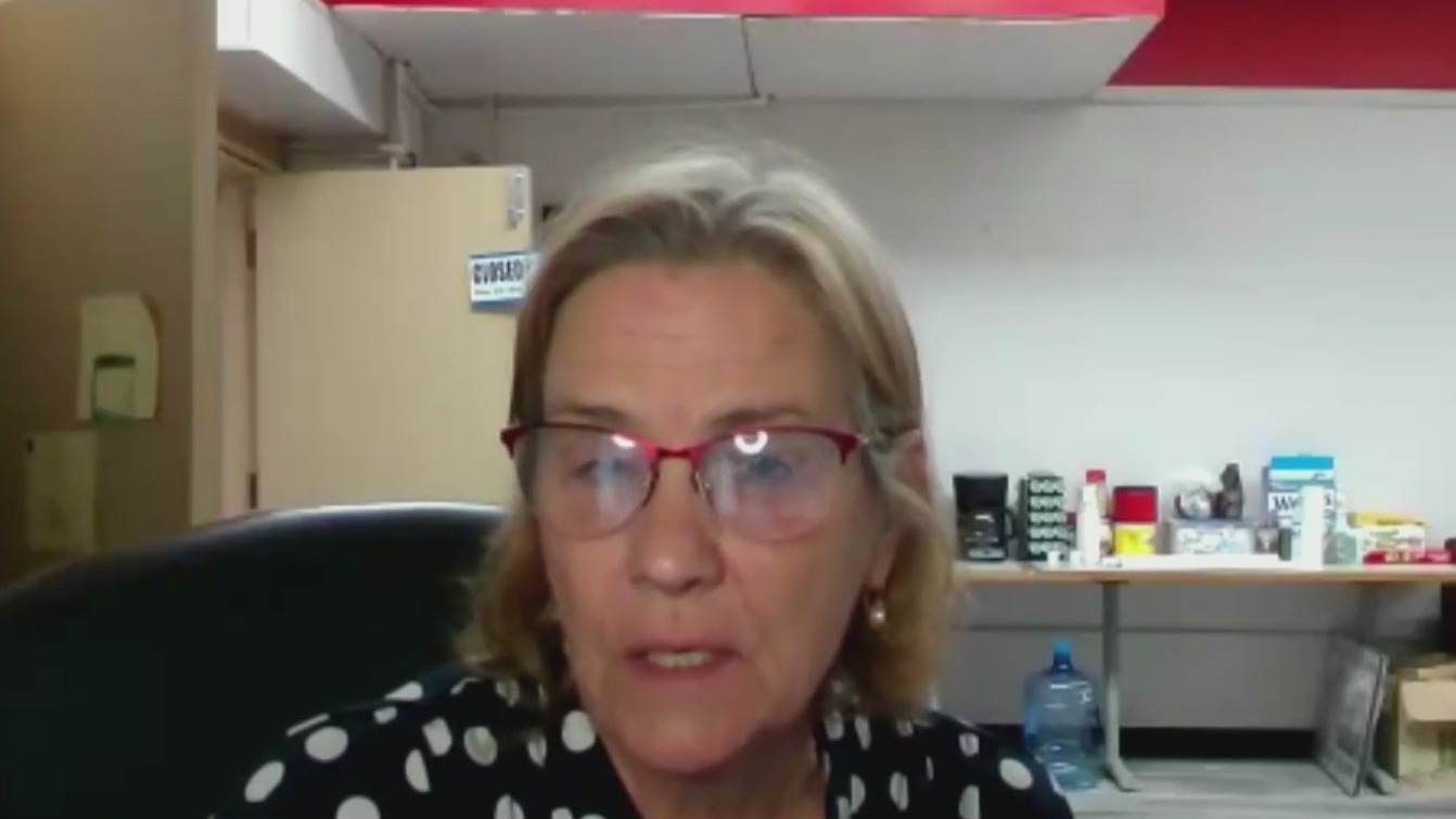 10th Ward Alderwoman Susan Sadlowski Garza retiring – WGN-TV