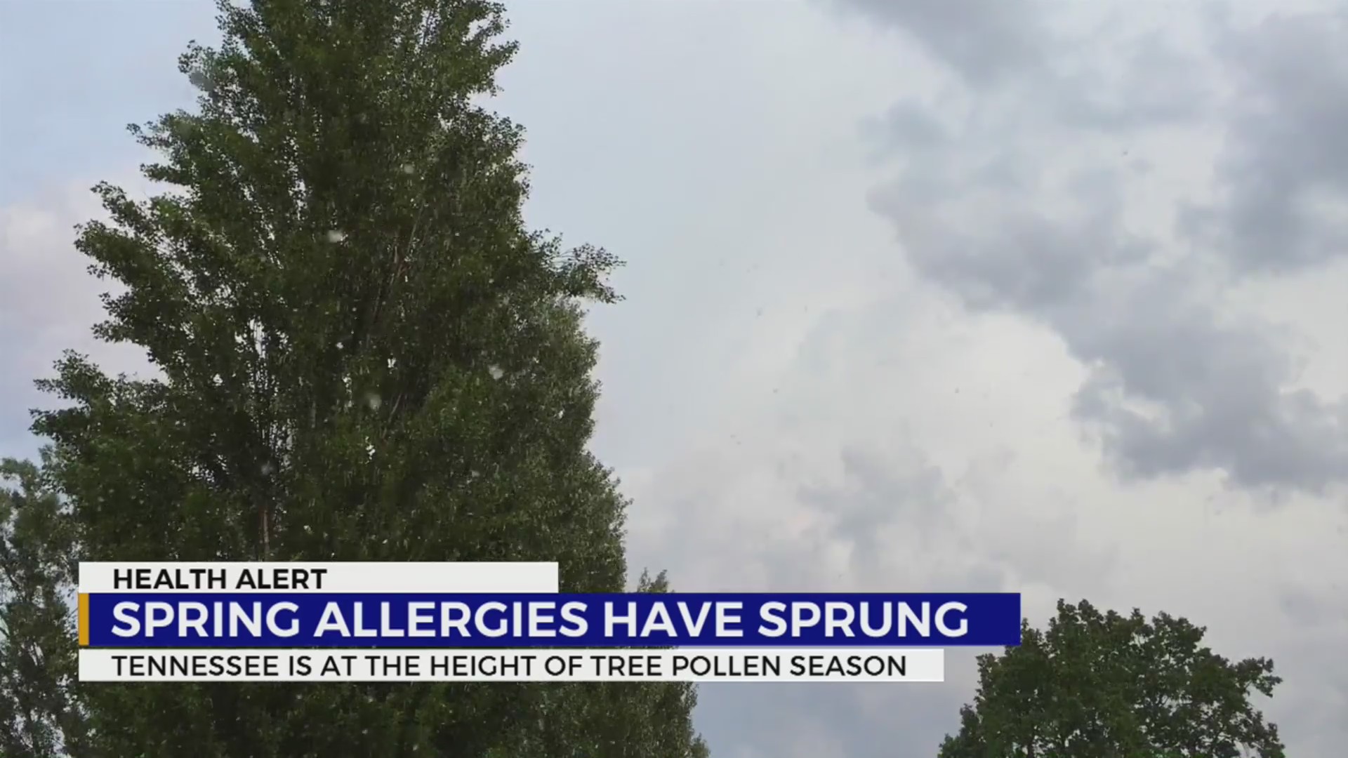Spring allergies have sprung – WKRN News 2