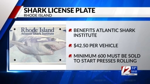 Shark license plates now available in RI – WPRI.com