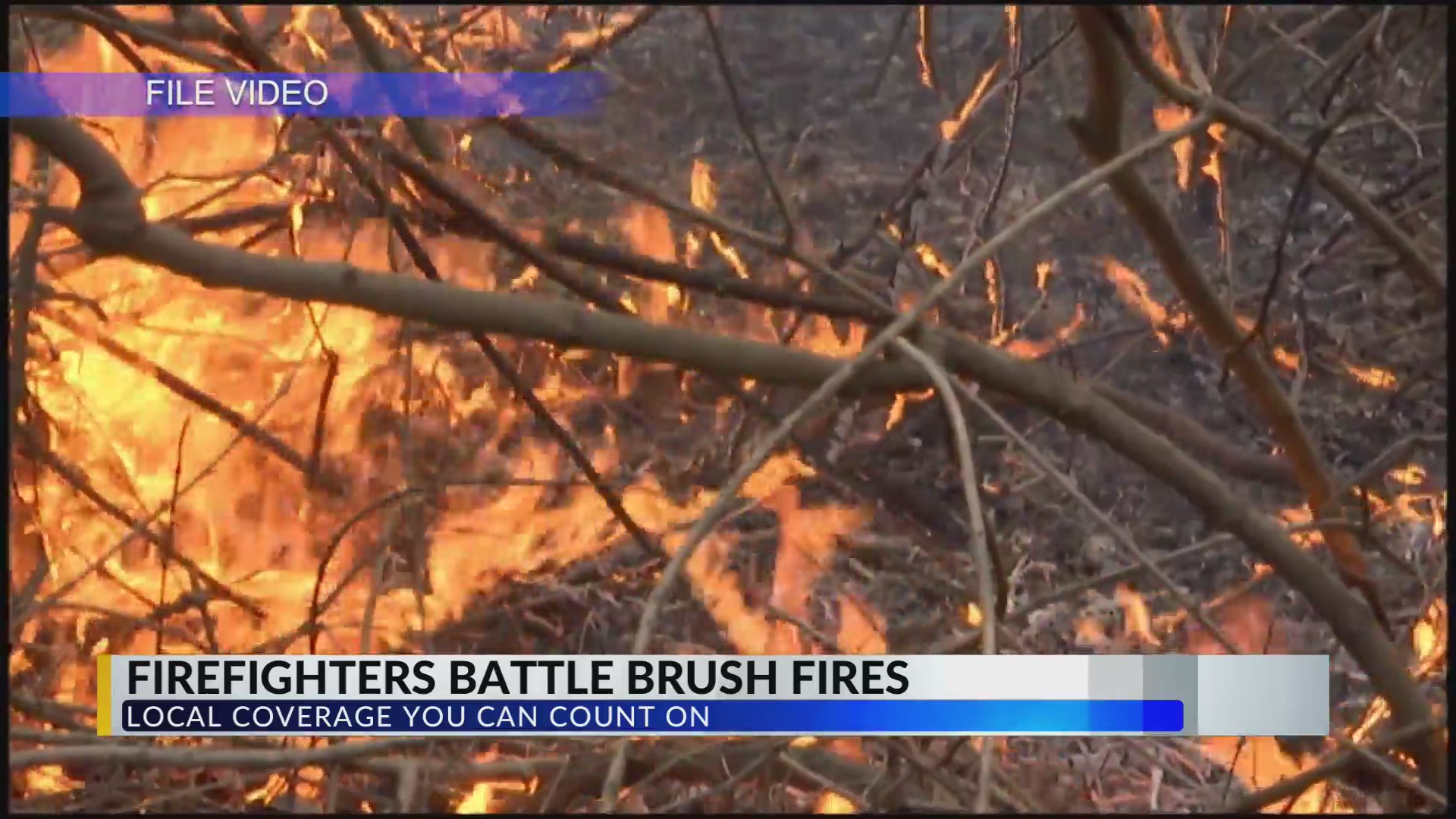 Central Alabama firefighters battle brush fires – CBS 42