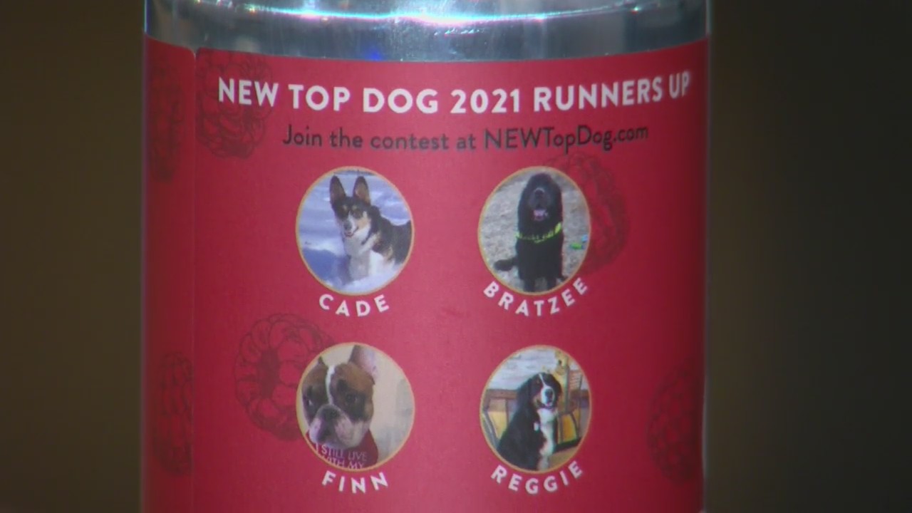 2022 NEW Top Dog contest winner to become the face of their very own ...