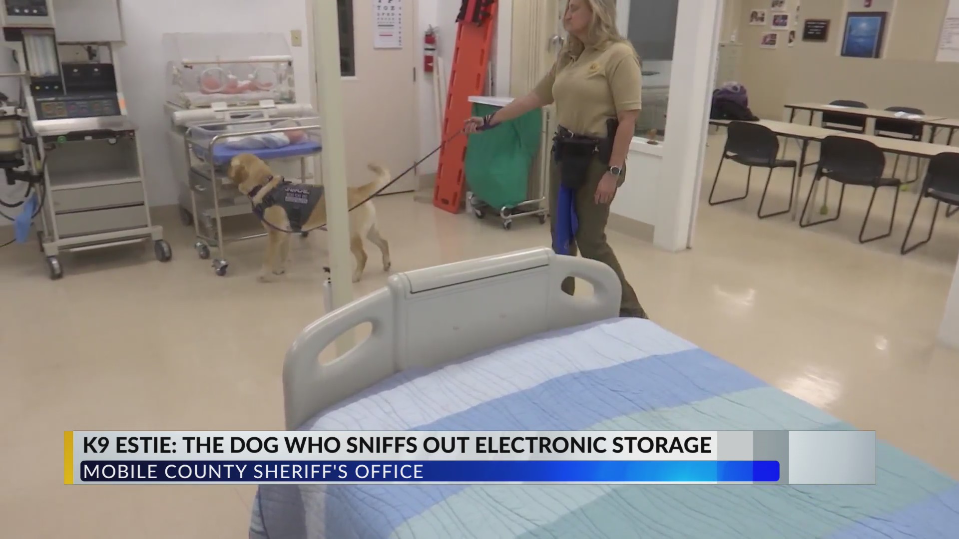 Mobile Co. Sheriff’s Office brings on K9 to sniff out electronic ...