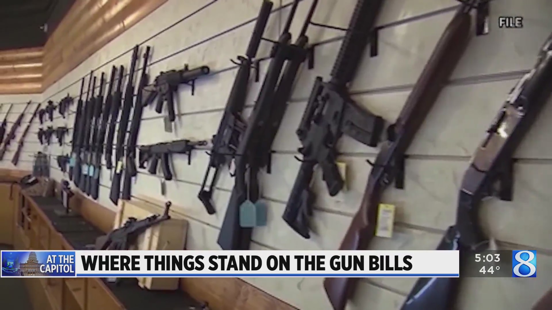 Where things stand on the gun bills – WOODTV.com