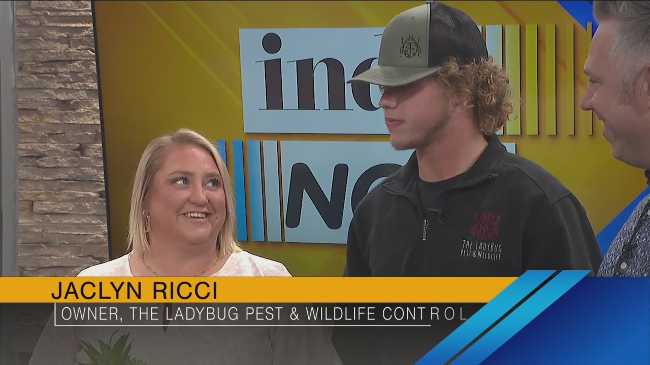 Indy Now, March 22nd: be ready for baby animal season with LadyBug Pest ...