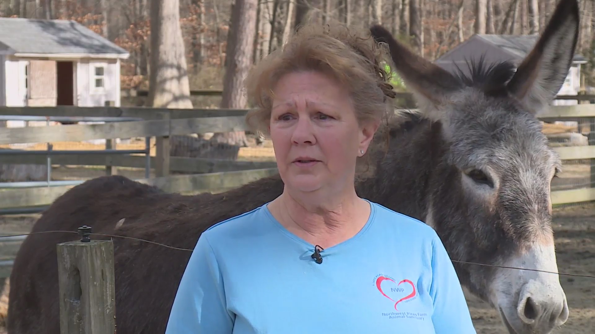 Remarkable Women: Kimberly Goodwin creating safe space for humans and ...