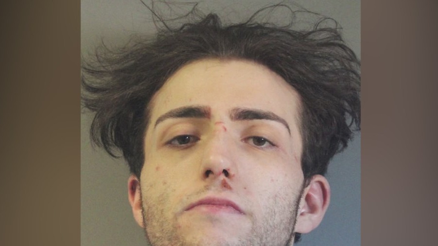 LI stabbing suspect was mad parents took laptop: sources – PIX11