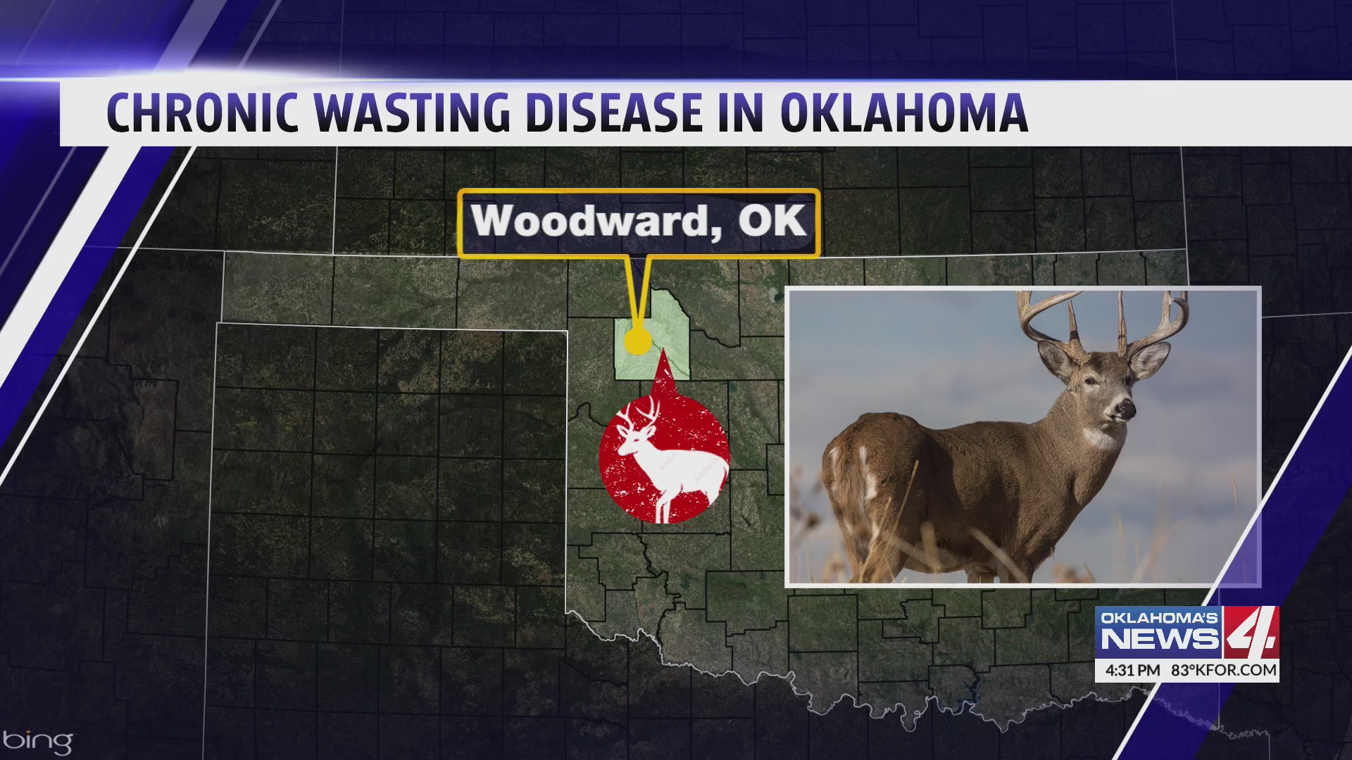 Chronic wasting disease found in Oklahoma deer – KFOR.com Oklahoma City