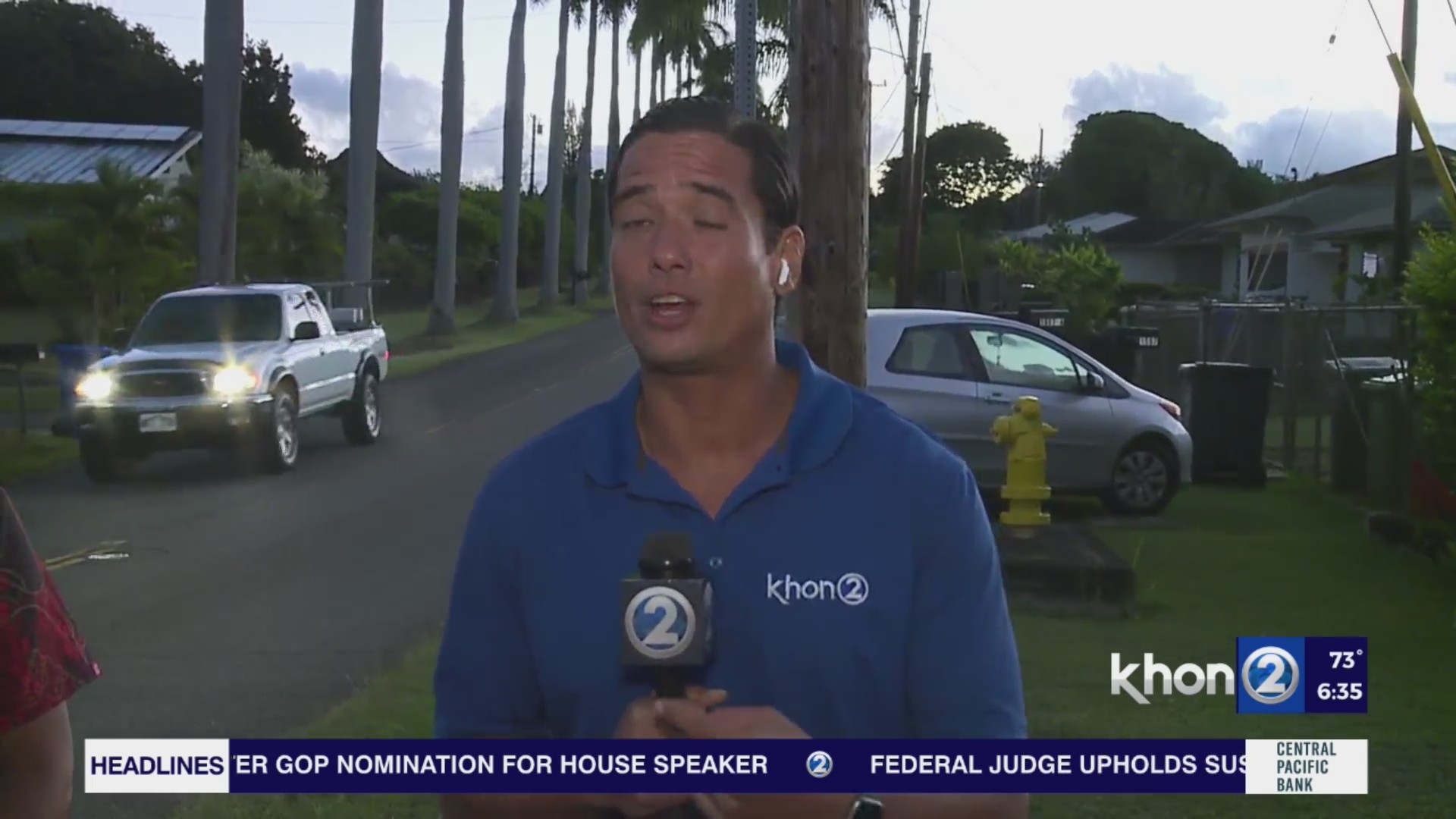 Coconut Rhinoceros Beetle infestation at historic royal palms – KHON2