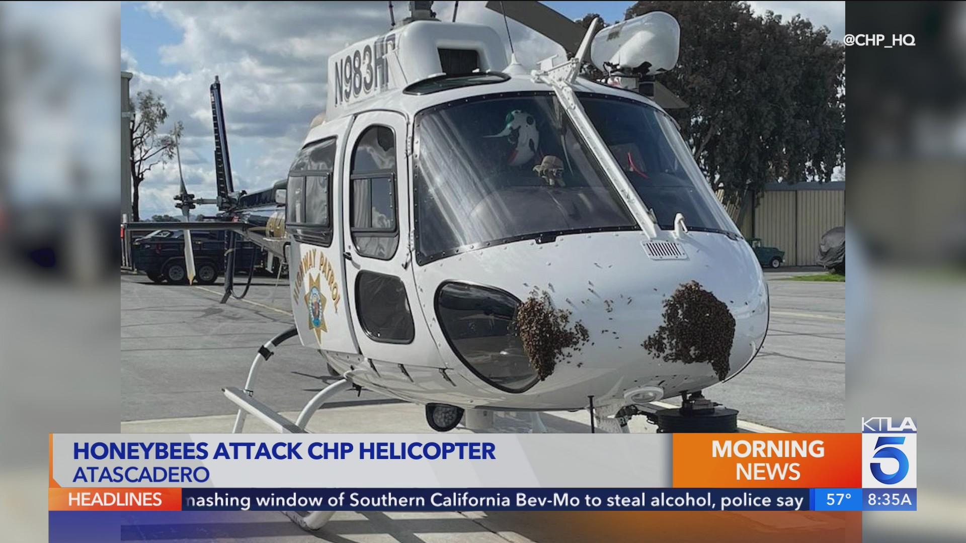 Swarm of honeybees ground CHP helicopter – KTLA