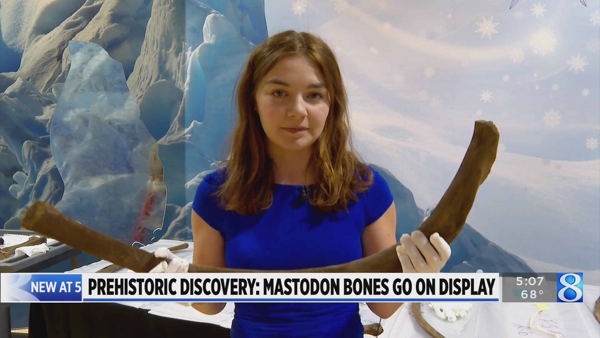 Mastodon bones ‘fit perfectly’ in public museum exhibit – WOODTV.com